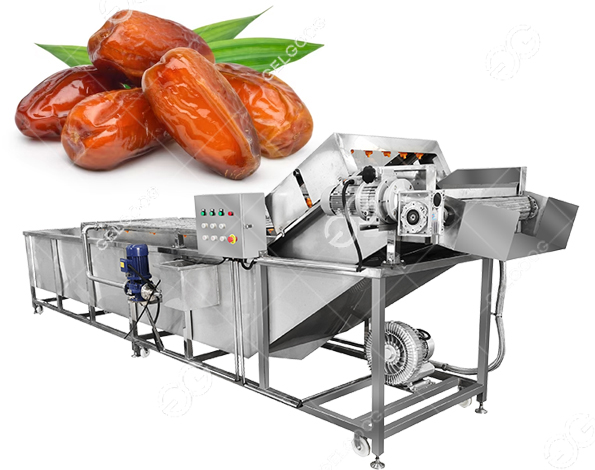 Automatic Dates Palm Washing Machine 